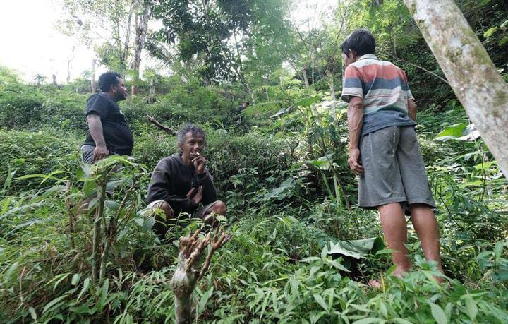 Glamping Milik BOB Borobudur Mangkrak, Tetapi Punya Warga Bisa Maju ...